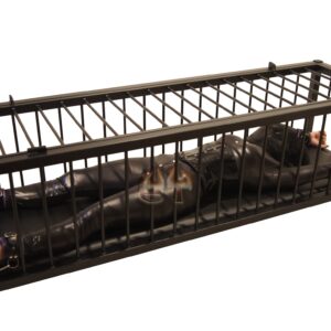 Steel Cages Archive - EvilToys